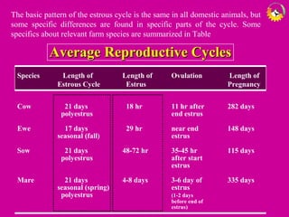 Presentation on ESTROUS CYCLE | PPT