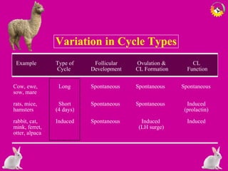 Presentation on ESTROUS CYCLE | PPT