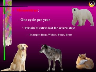 Presentation on ESTROUS CYCLE | PPT