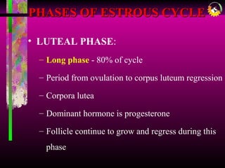 Presentation on ESTROUS CYCLE | PPT