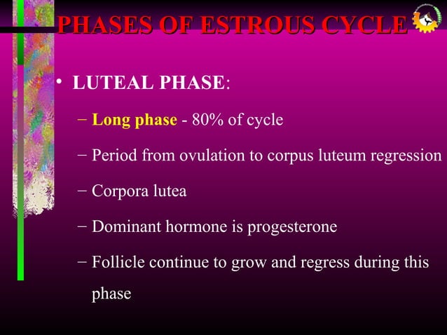 Presentation on ESTROUS CYCLE | PPT