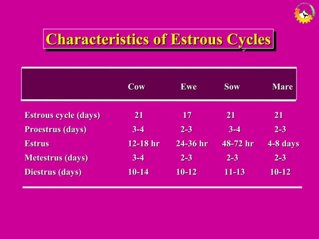 Presentation on ESTROUS CYCLE