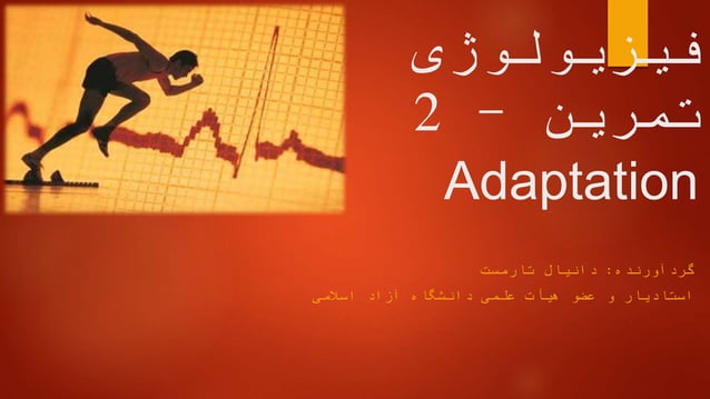 Exercise Physiology - Adaptations | PPTX | Fitness and Exercise ...