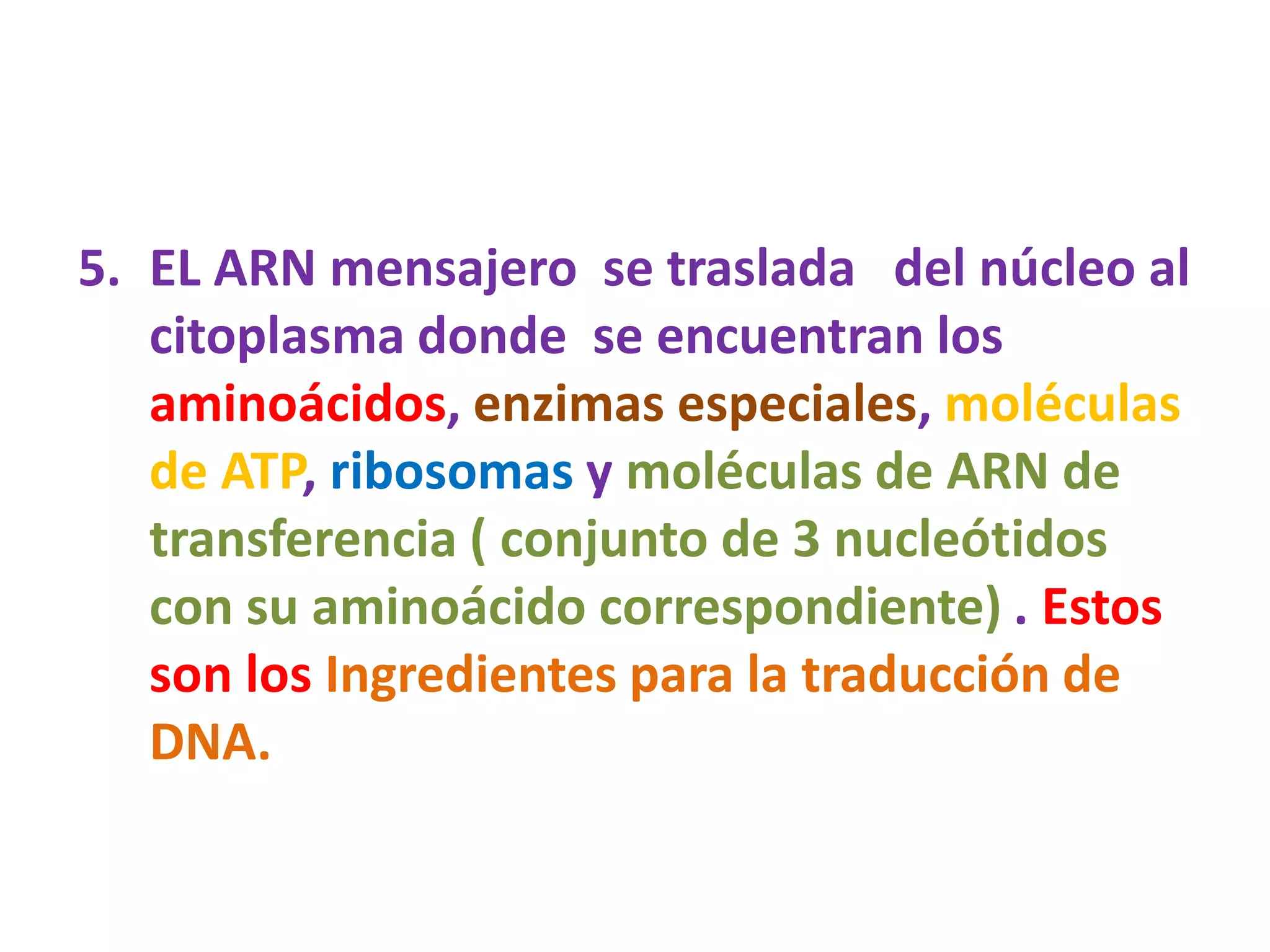 2. de adn a proteinas | PPTX
