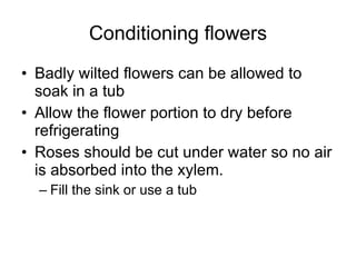 2 17 Conditioning & Botany | PPT