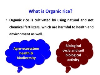 Organic Rice | PPTX