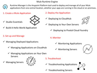 2.4.Mule Runtime Engine | PPT