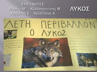 λυκος εργασια 2-Χρύσα Κοκορίκου | PPTX