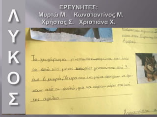 λυκος εργασια 2-Χρύσα Κοκορίκου | PPTX