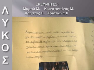 λυκος εργασια 2-Χρύσα Κοκορίκου | PPTX
