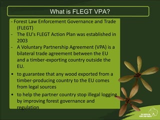 Non-state actor in strengthening rights and improve governance through ...