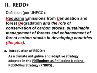 REDD+ experience: Pilot project in Davao Oriental, Philippines | PDF