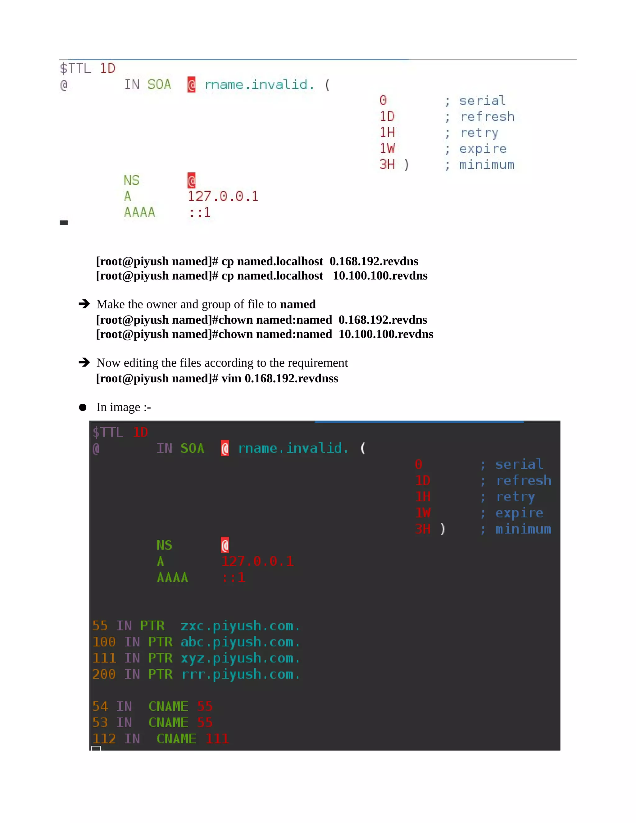 2. reverse primarydns using bind for ptr and cname record ipv4 | PDF