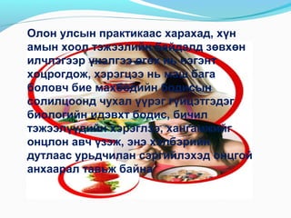 2. hun amii hool tejeeliin phisiologiin heregtsee | PPT