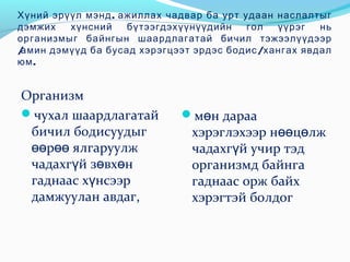 2. hun amii hool tejeeliin phisiologiin heregtsee | PPT