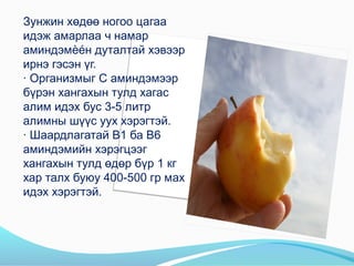 2. hun amii hool tejeeliin phisiologiin heregtsee | PPT