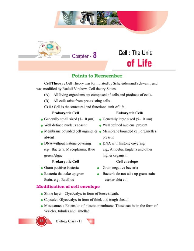 Cell and Cellular Process - The Unit of Life | PDF