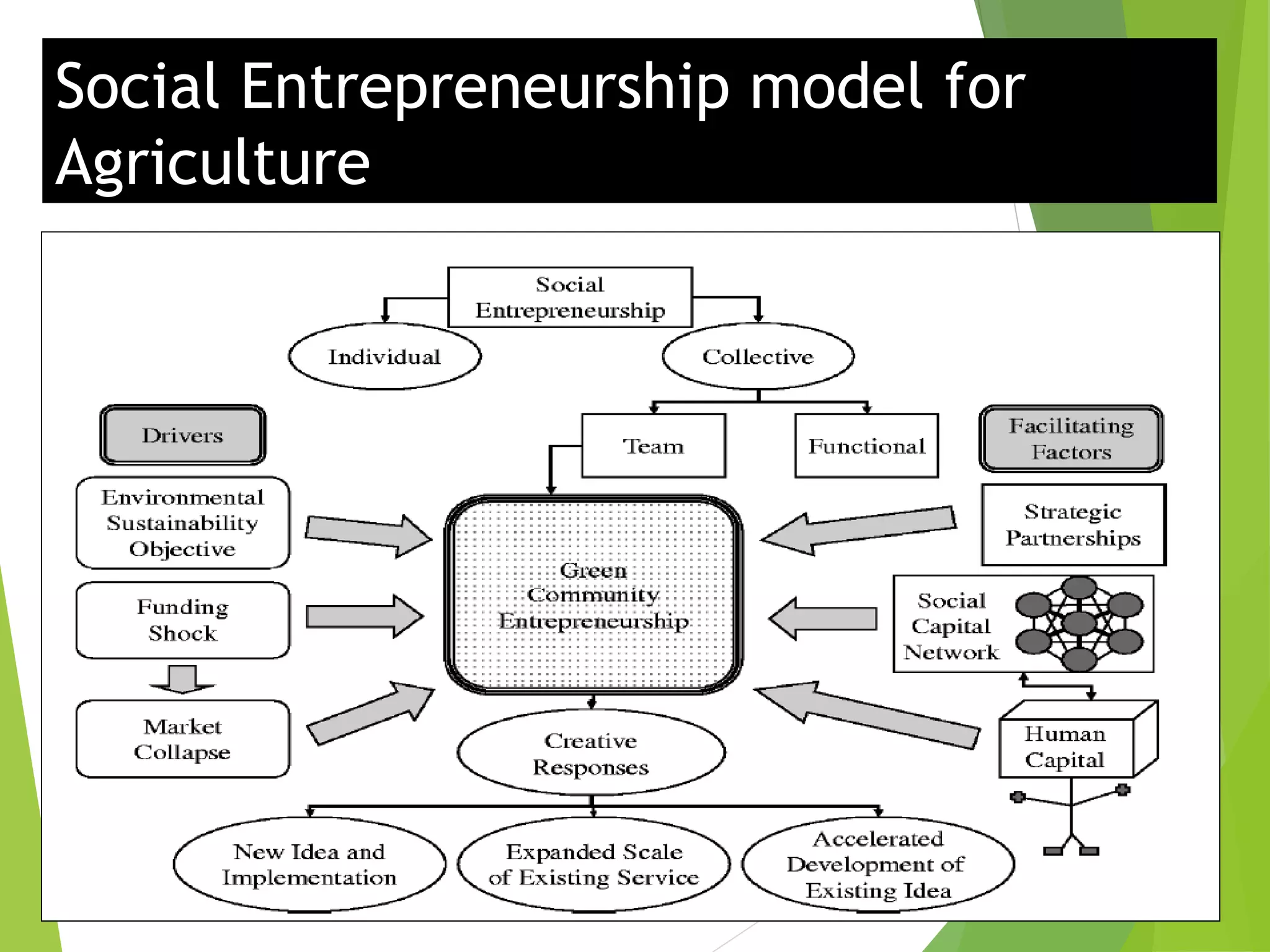 social entrepreneurship | PPT