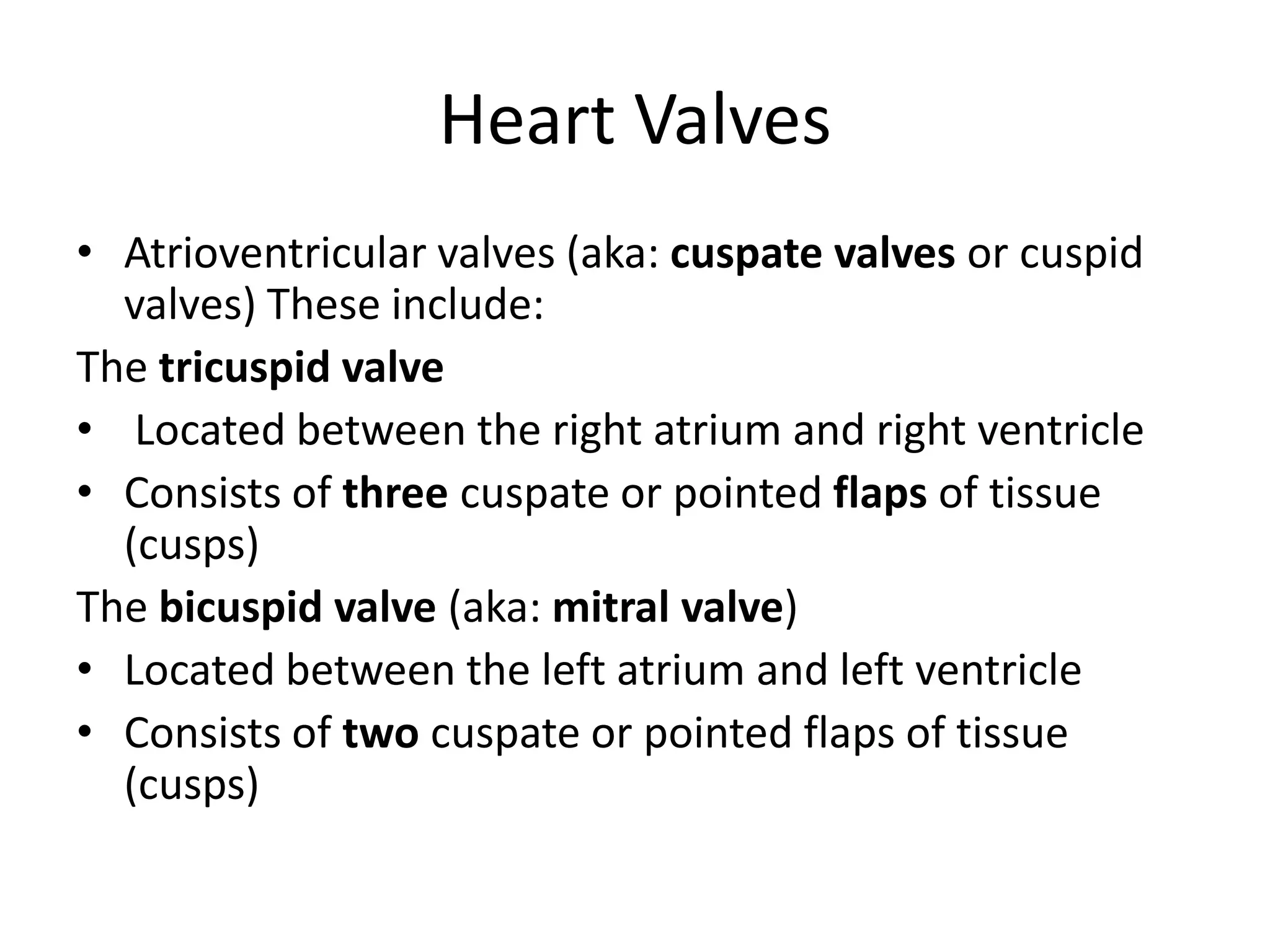 The heart | PDF