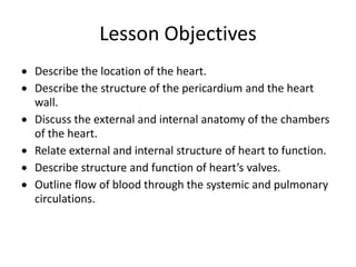 The heart | PDF