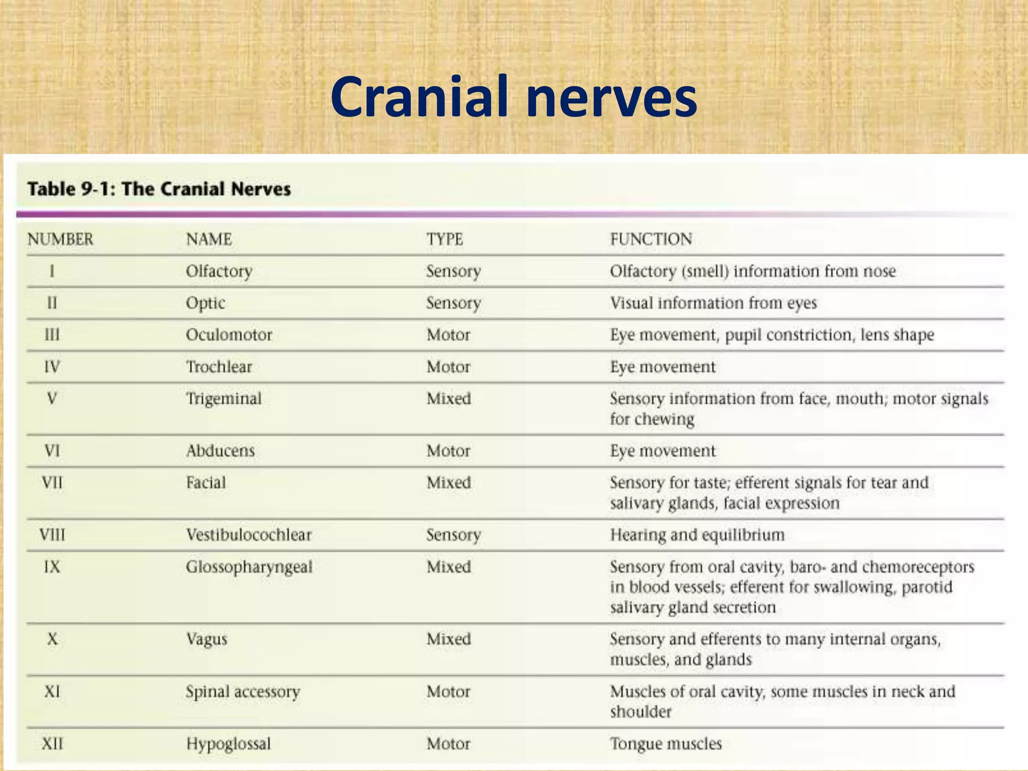 2. function of cranial nerves | PPTX