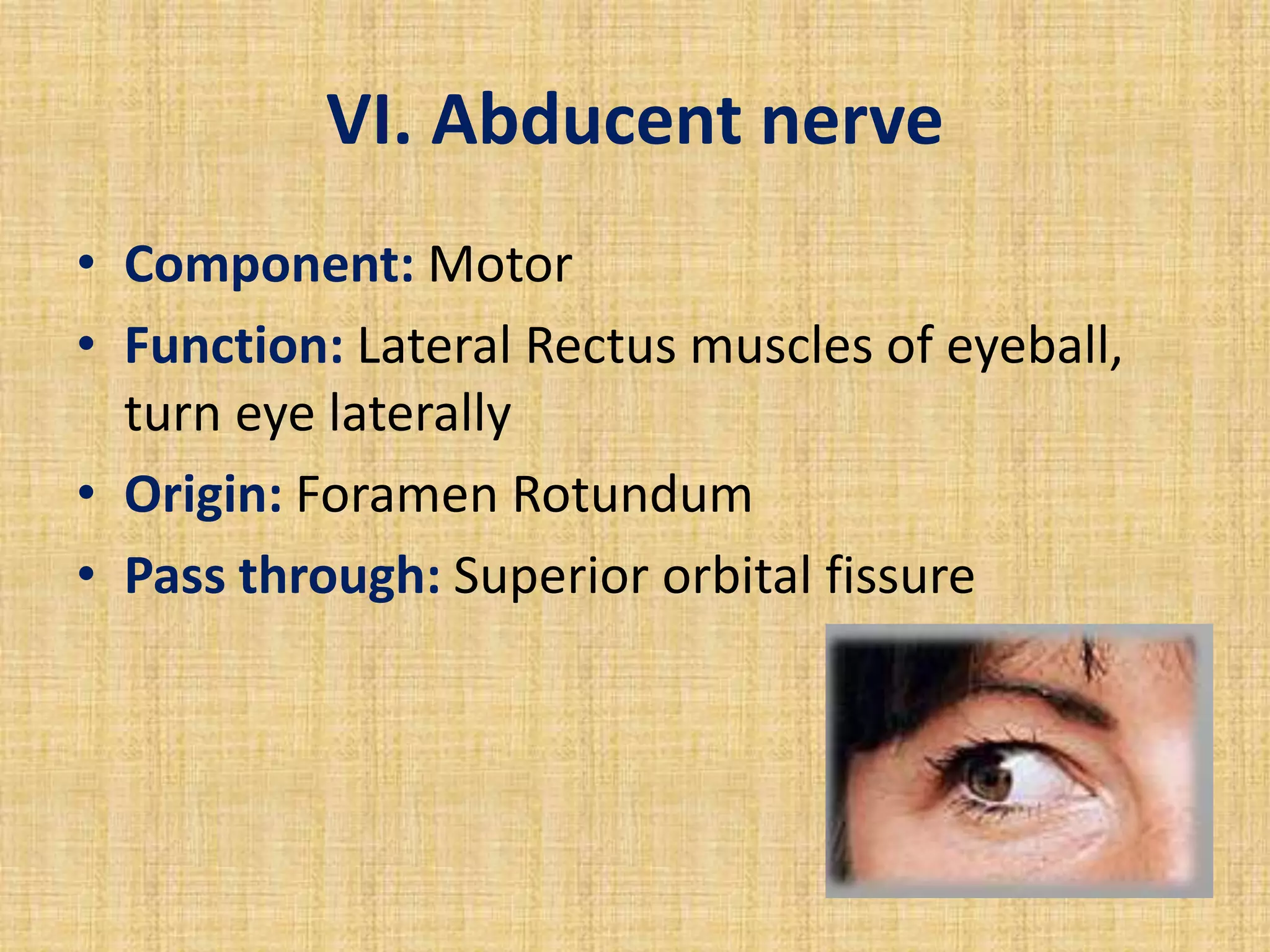 2. function of cranial nerves | PPTX