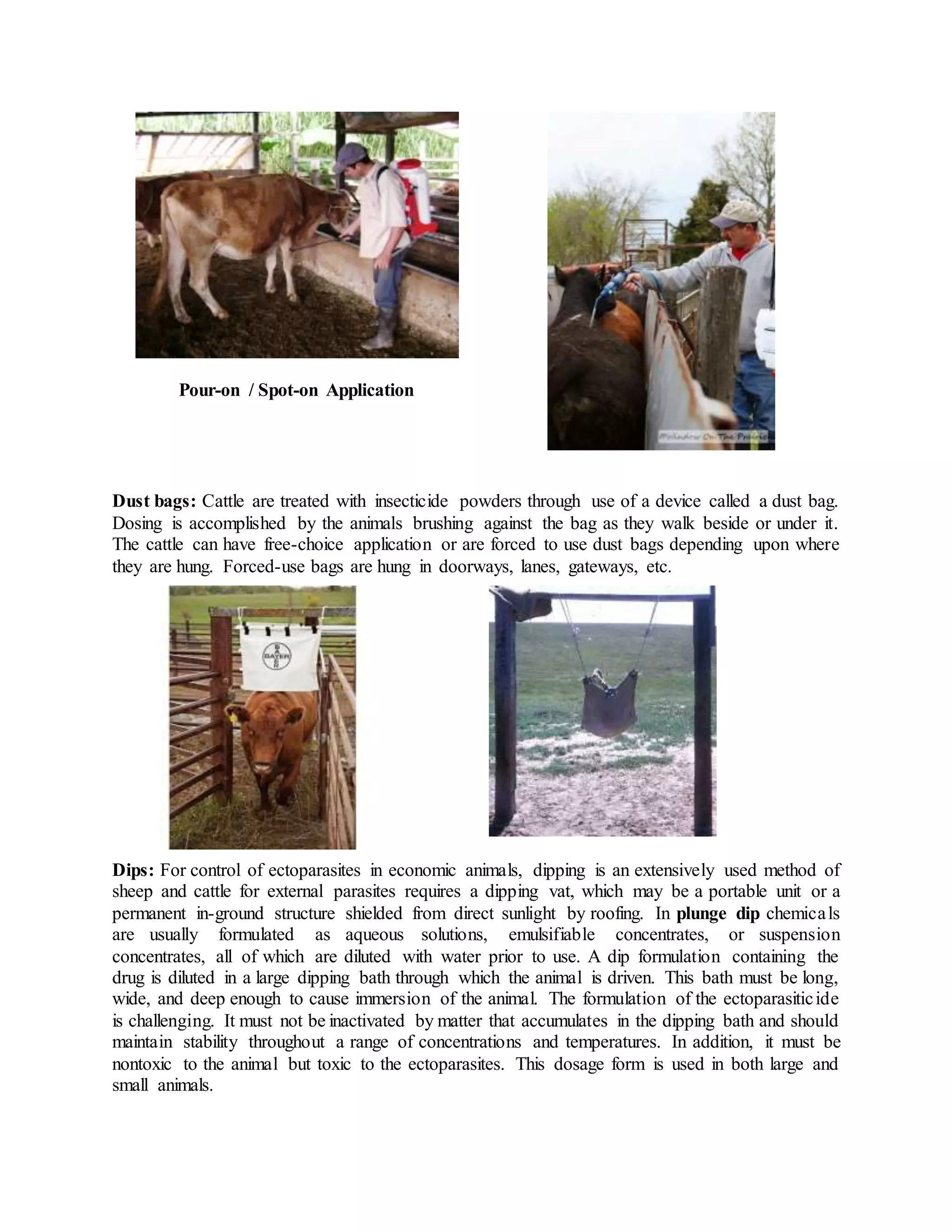 2. veterinary dosages form | DOCX