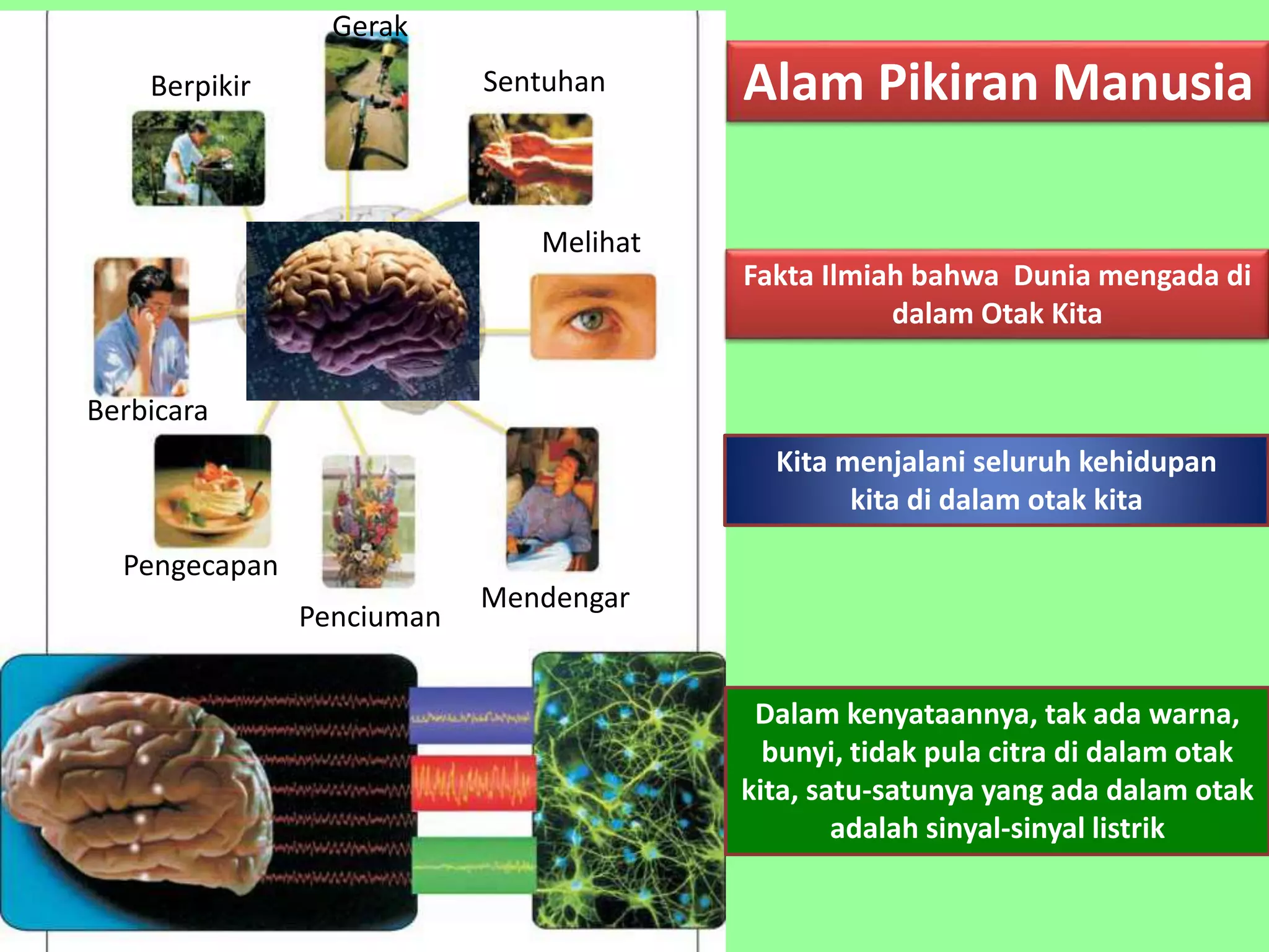 2. alam pikiran manusia dan perkembangannya.pptx