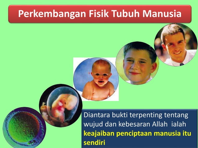 2. alam pikiran manusia dan perkembangannya.pptx
