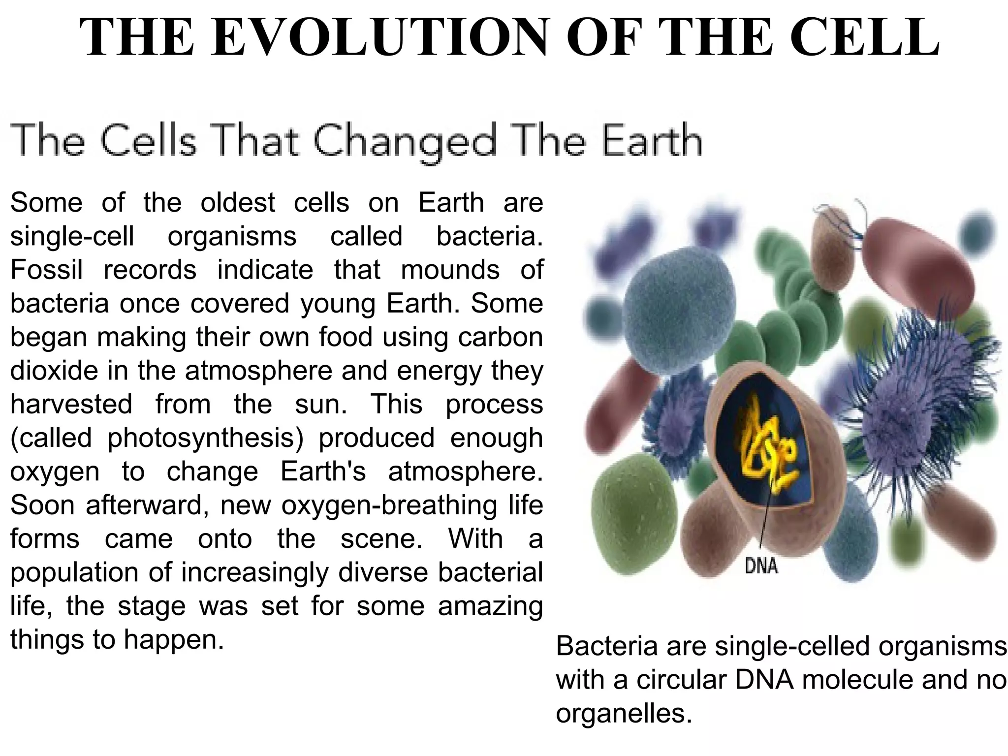 Cell and functions | PPT