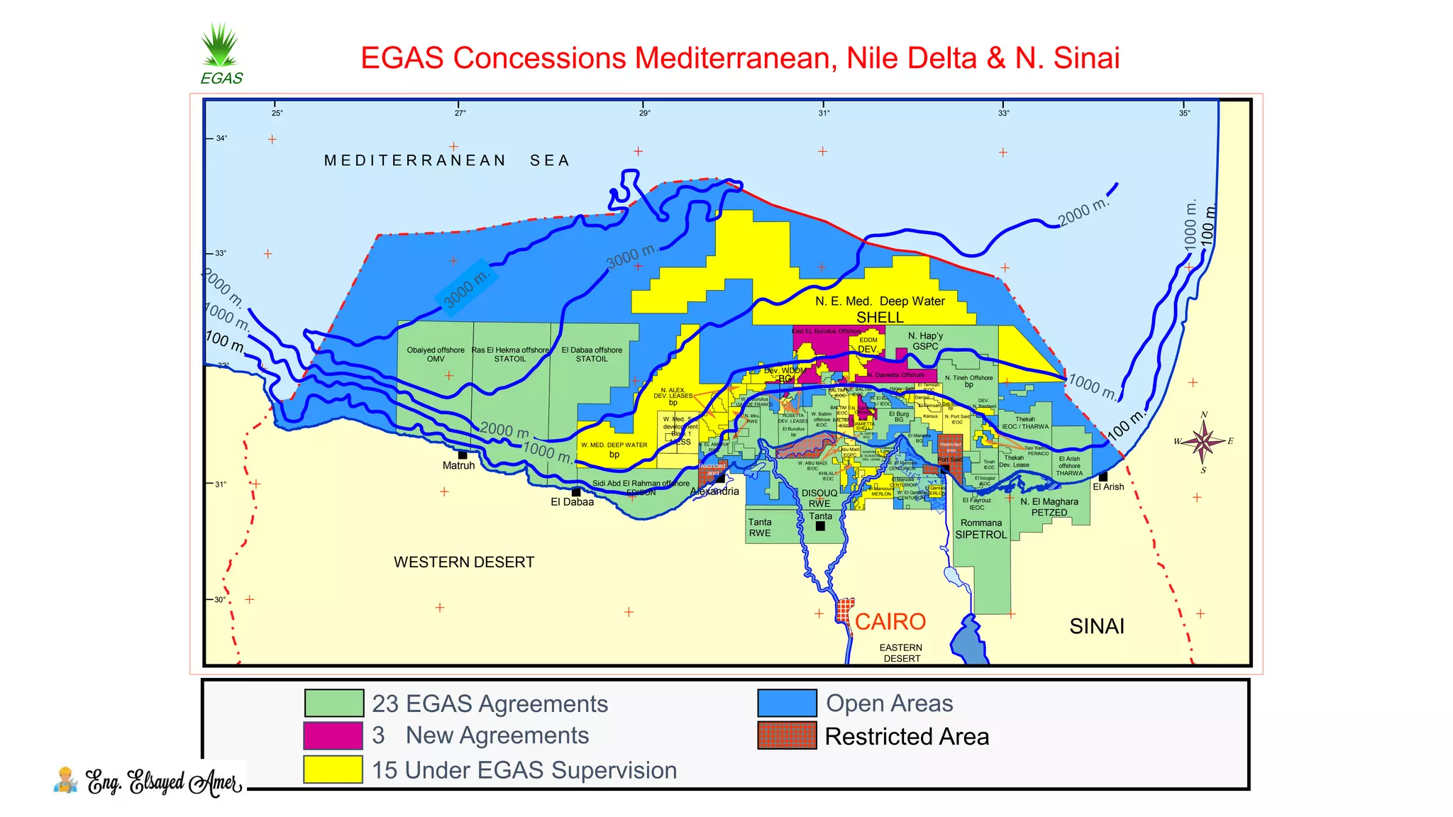 2. egyptian natural gas industry and gas procing | PDF