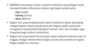 2. tumbuhan berkormus | PDF