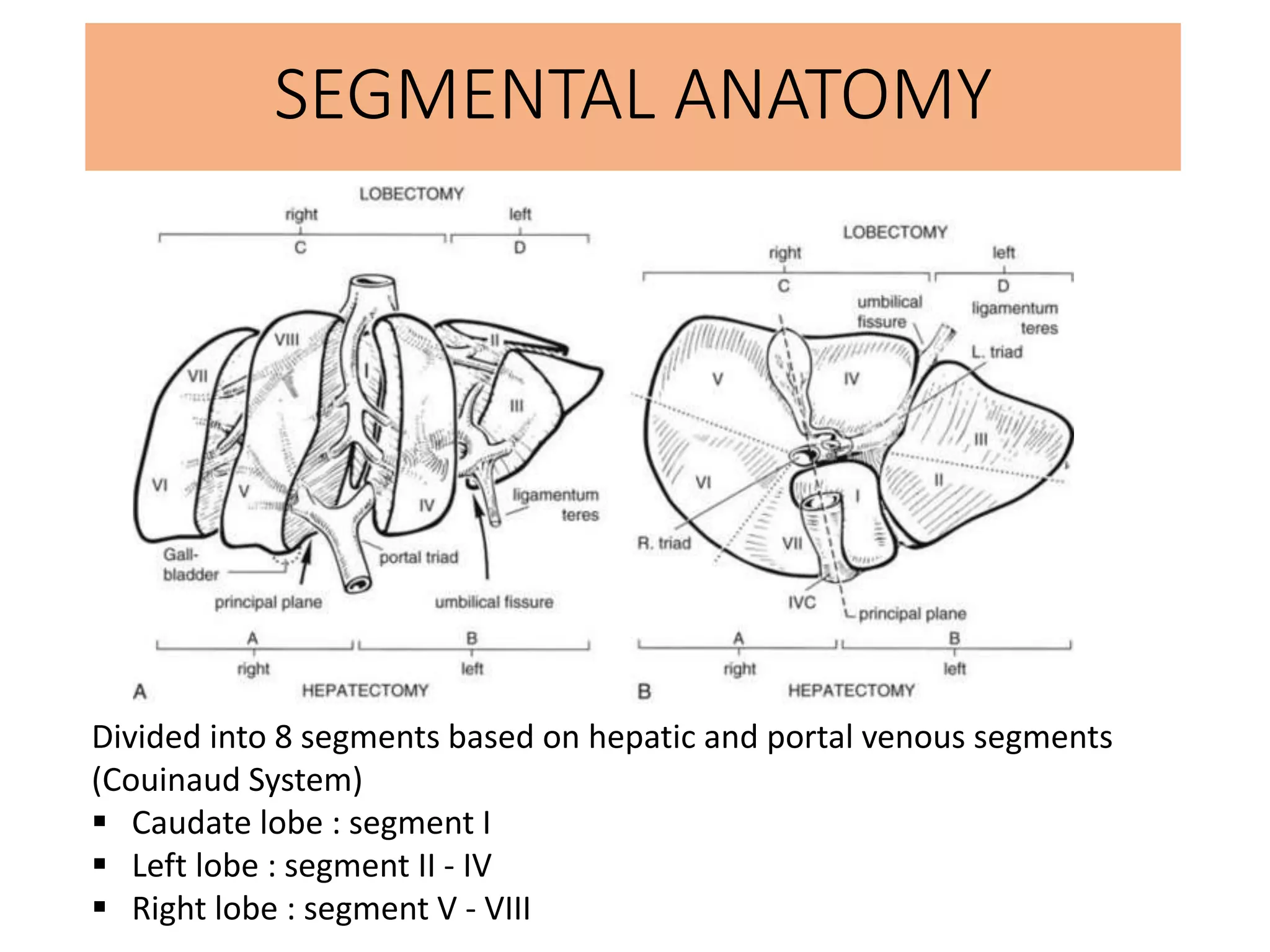 Benign and Malignant Liver Disorder | PPTX