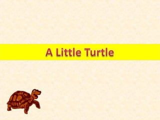 Little Turtle | PPT