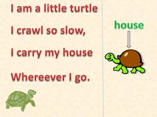Little Turtle | PPT