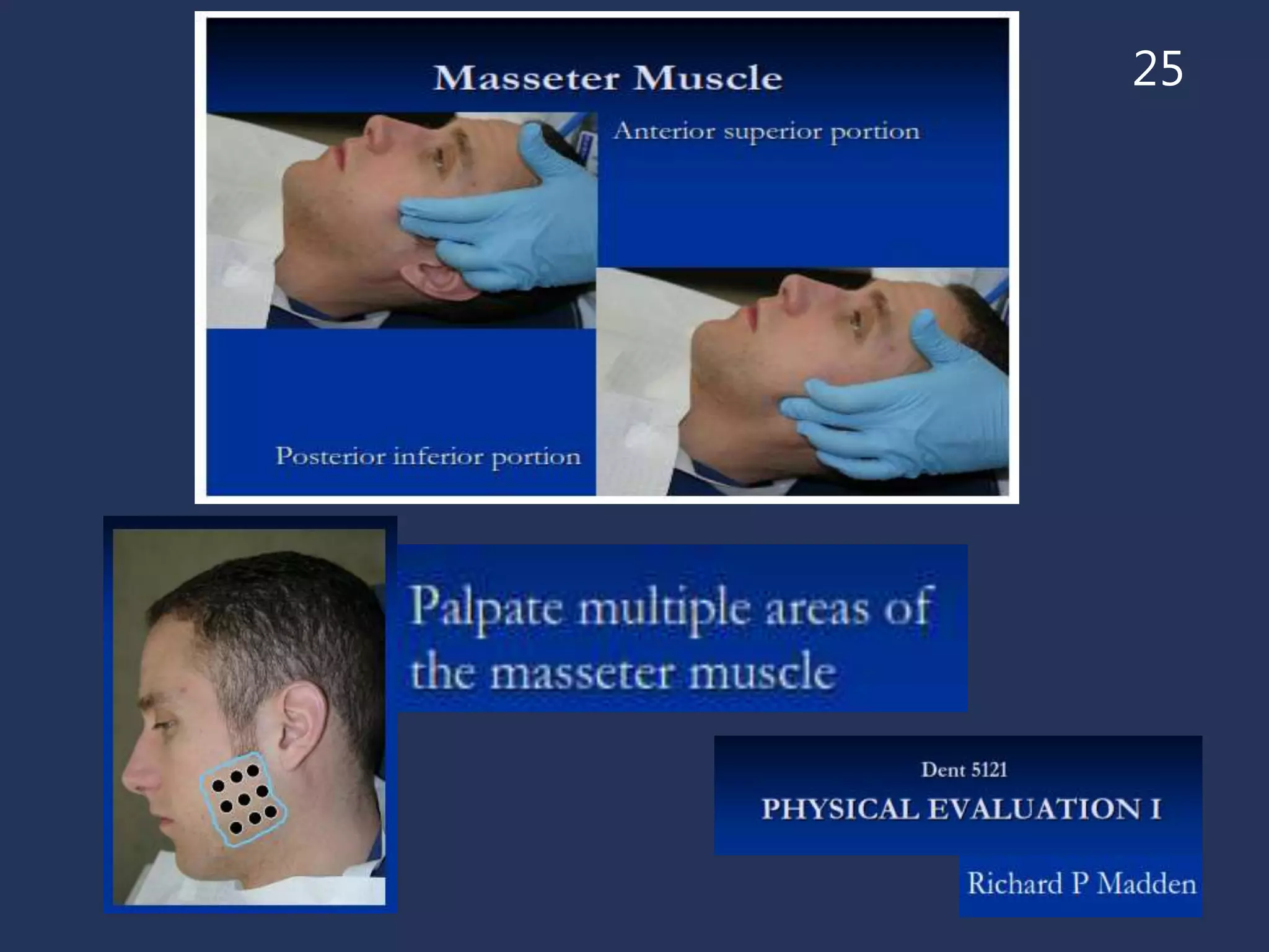 muscles of mastication, dental applications | PPTX