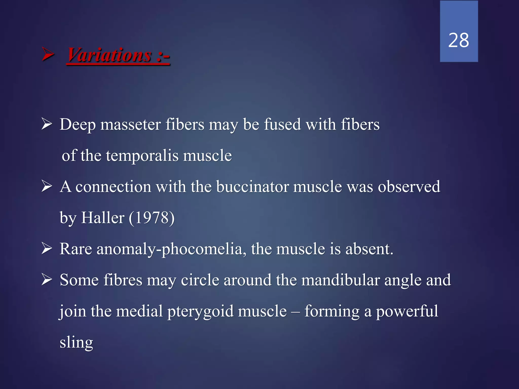 muscles of mastication, dental applications | PPTX