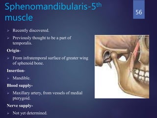 muscles of mastication, dental applications | PPTX