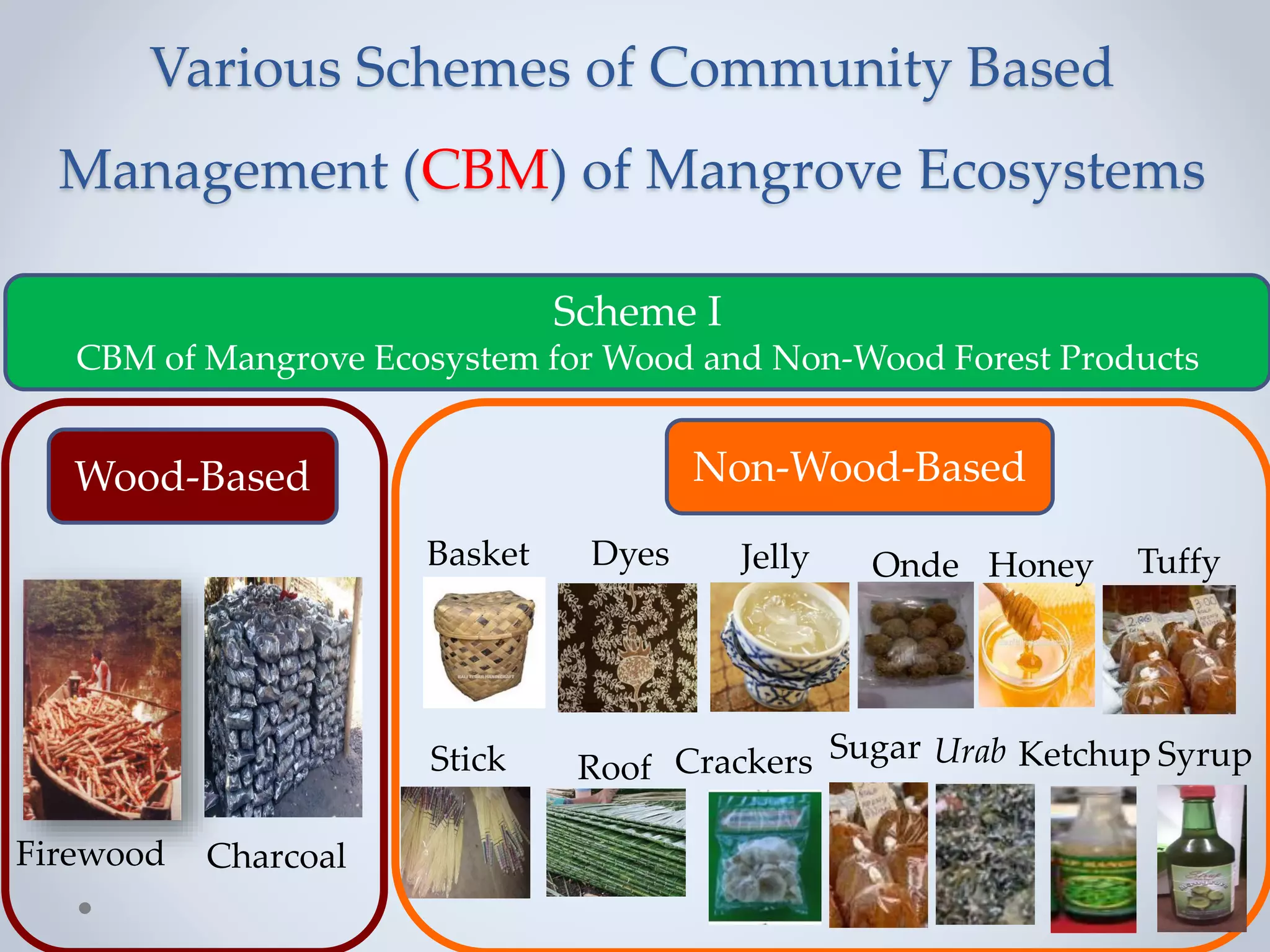 Community based management of mangrove ecosystems | PDF