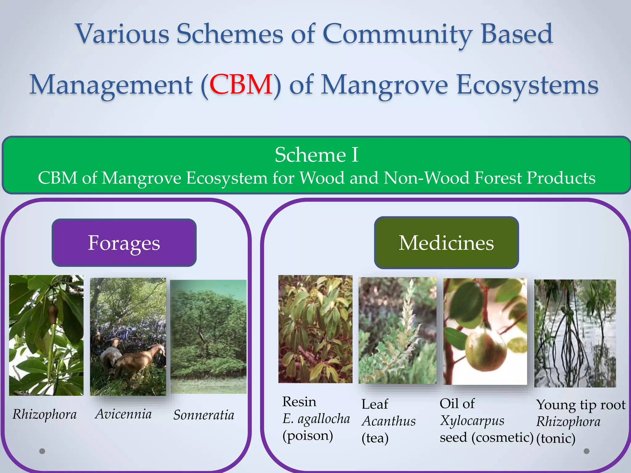 Community based management of mangrove ecosystems | PDF