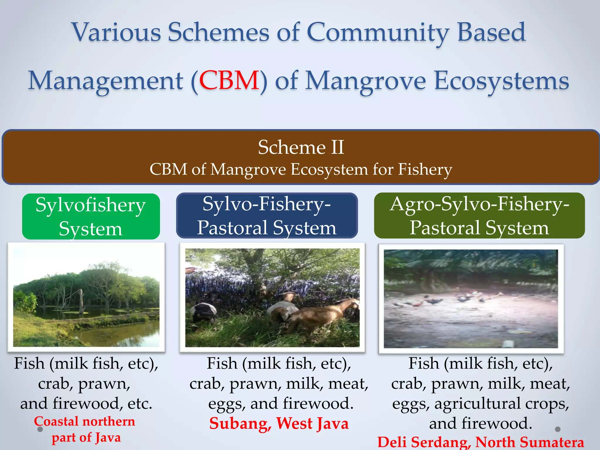 Community based management of mangrove ecosystems | PDF