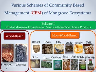 Community based management of mangrove ecosystems | PDF