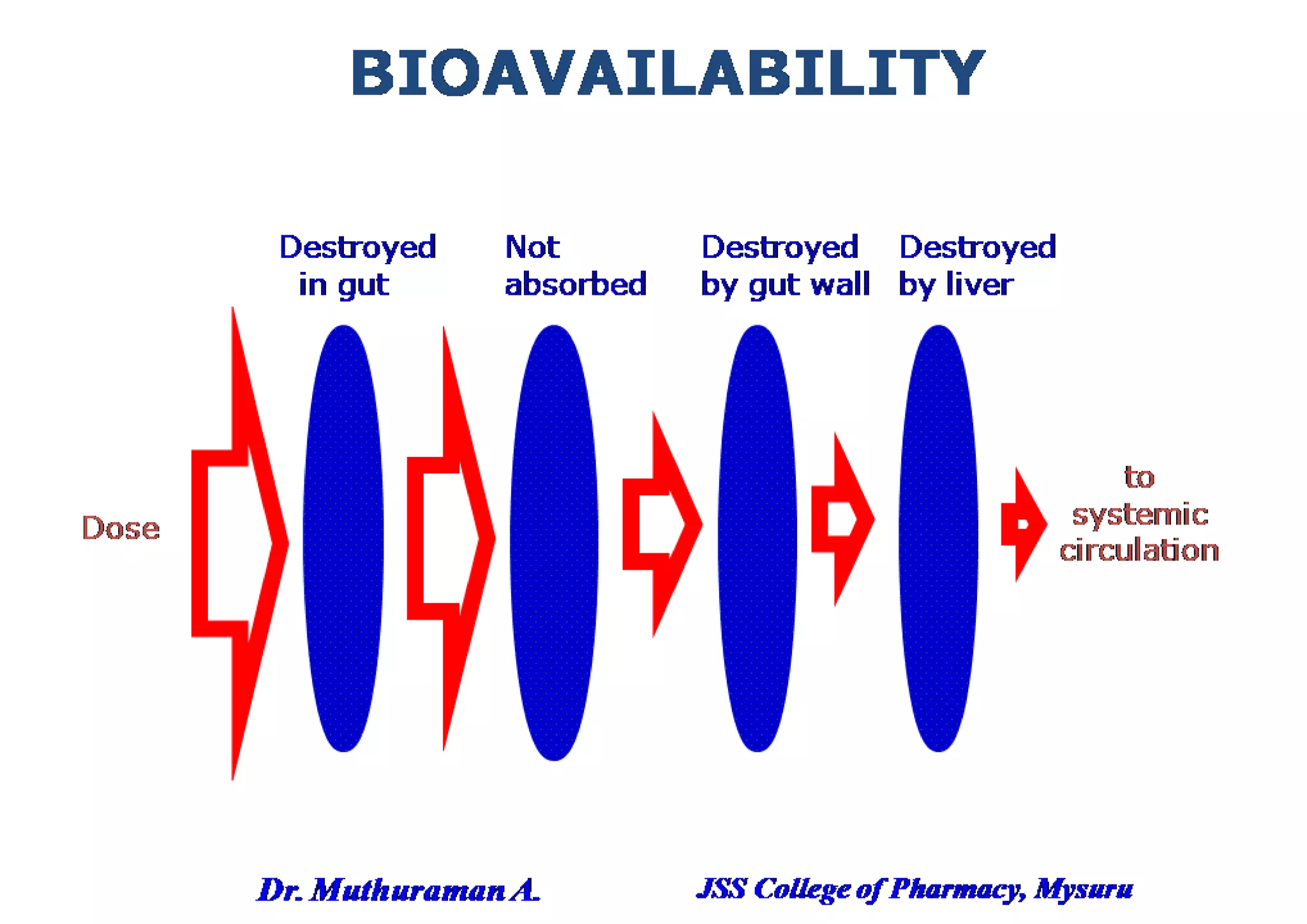 2.1 pharmacokinetics drug absorption and distribution. | PPT