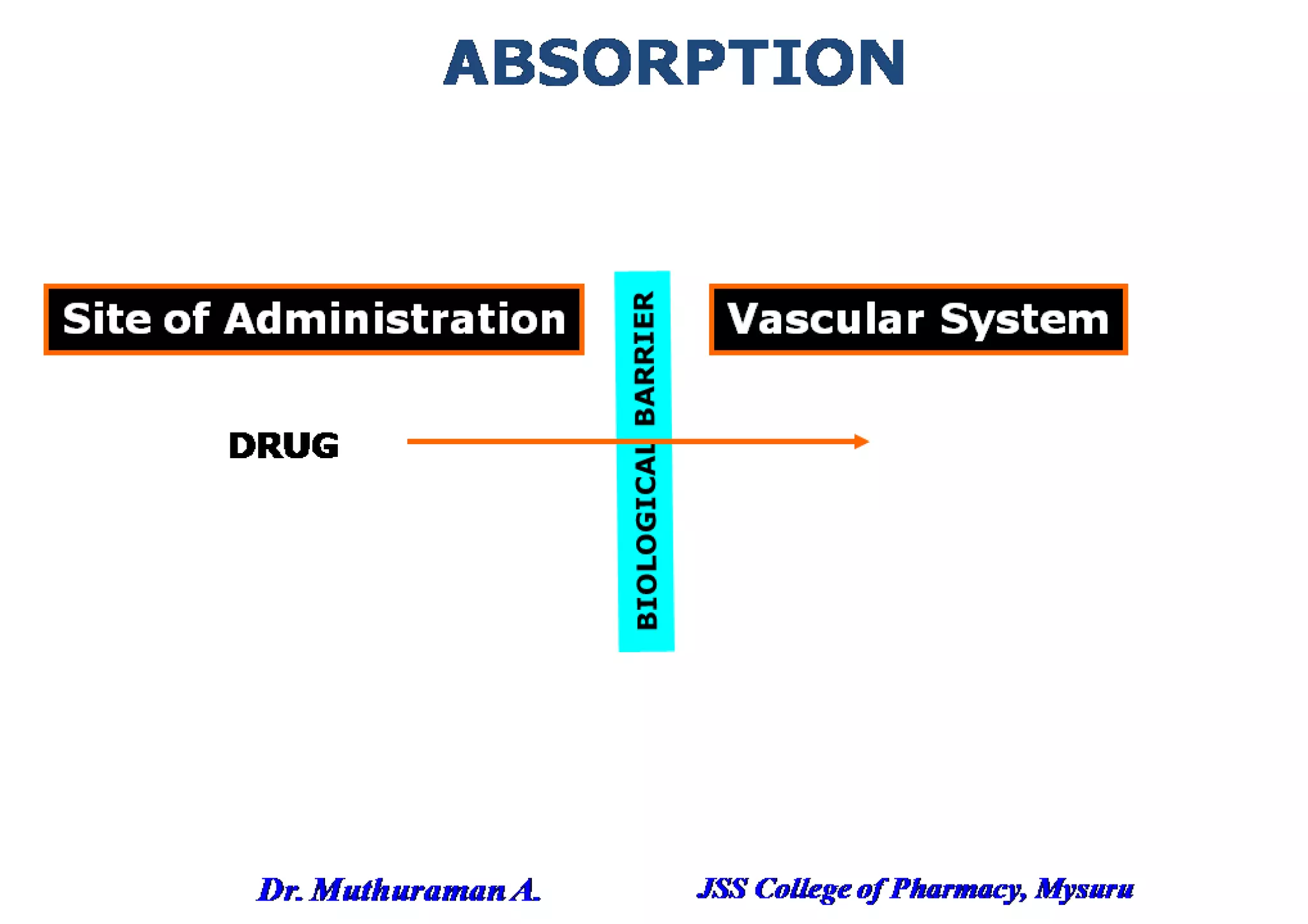 2.1 pharmacokinetics drug absorption and distribution. | PPT