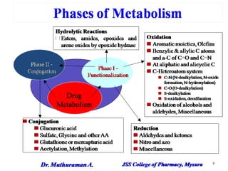 2.2 pharmacokinetics drug metabolism | PDF