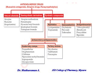 2.4 parasympatholytic drugs | PPT