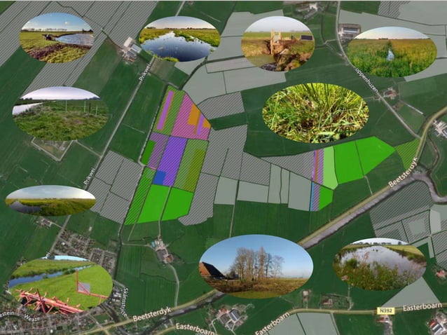 Natuurinclusief boeren in de praktijk door Marten Dijkstra | PPTX