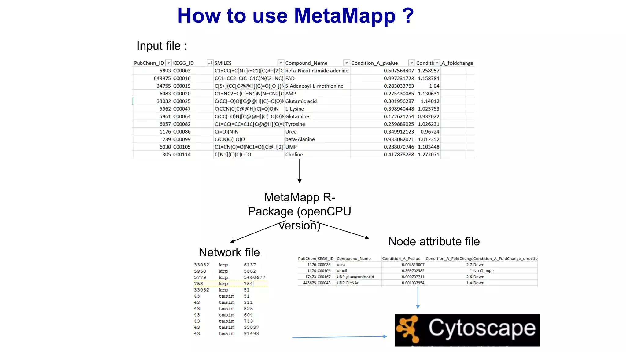 How to use MetaMapp and ChemRICH software for metabolomics ? | PPTX