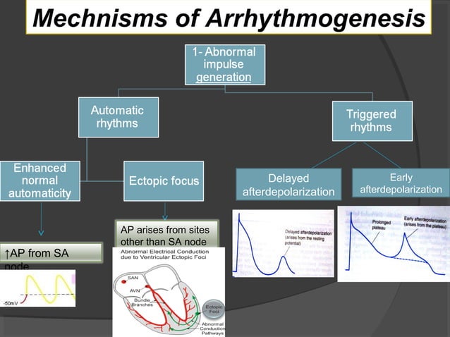 2. antiarrhythmic drugs_ | PPT