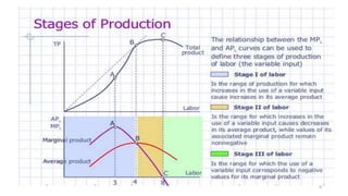 Scale of production